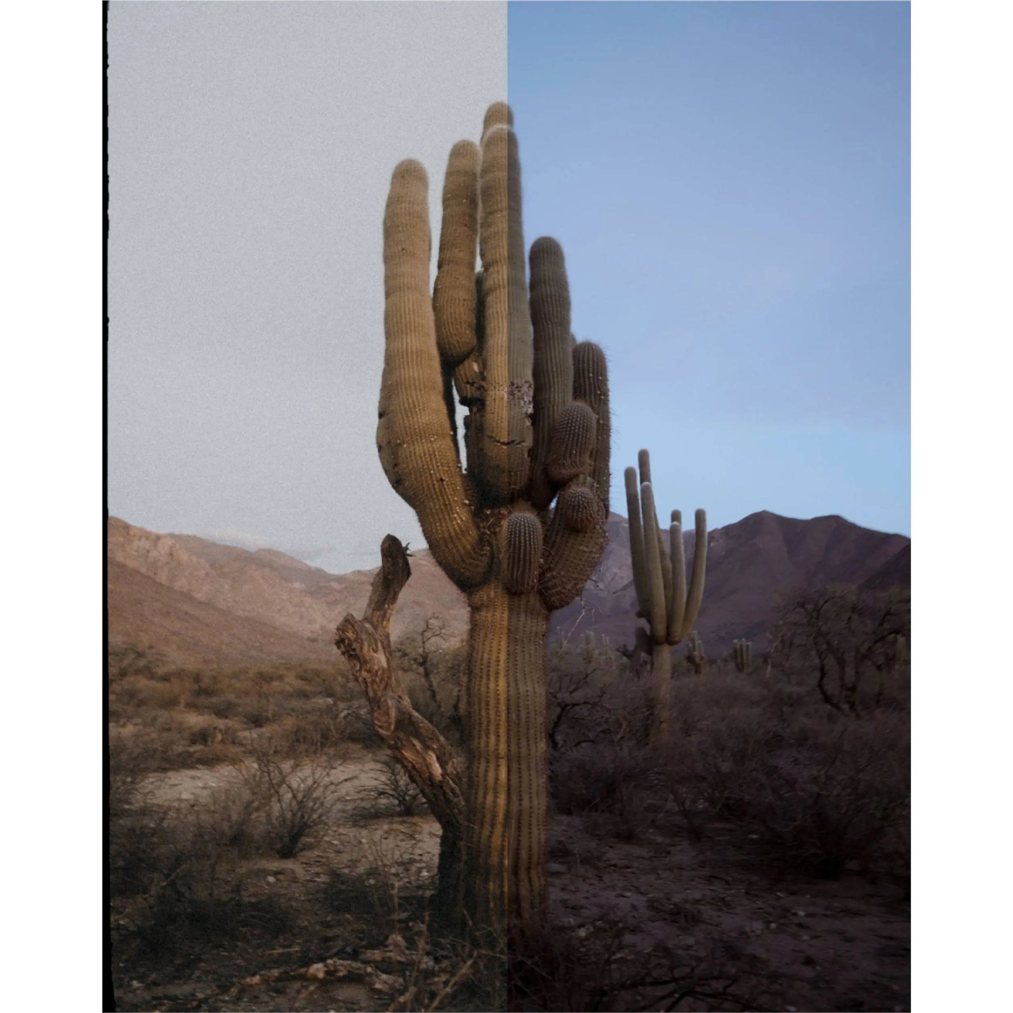 Vintage Photo Pack – envijon