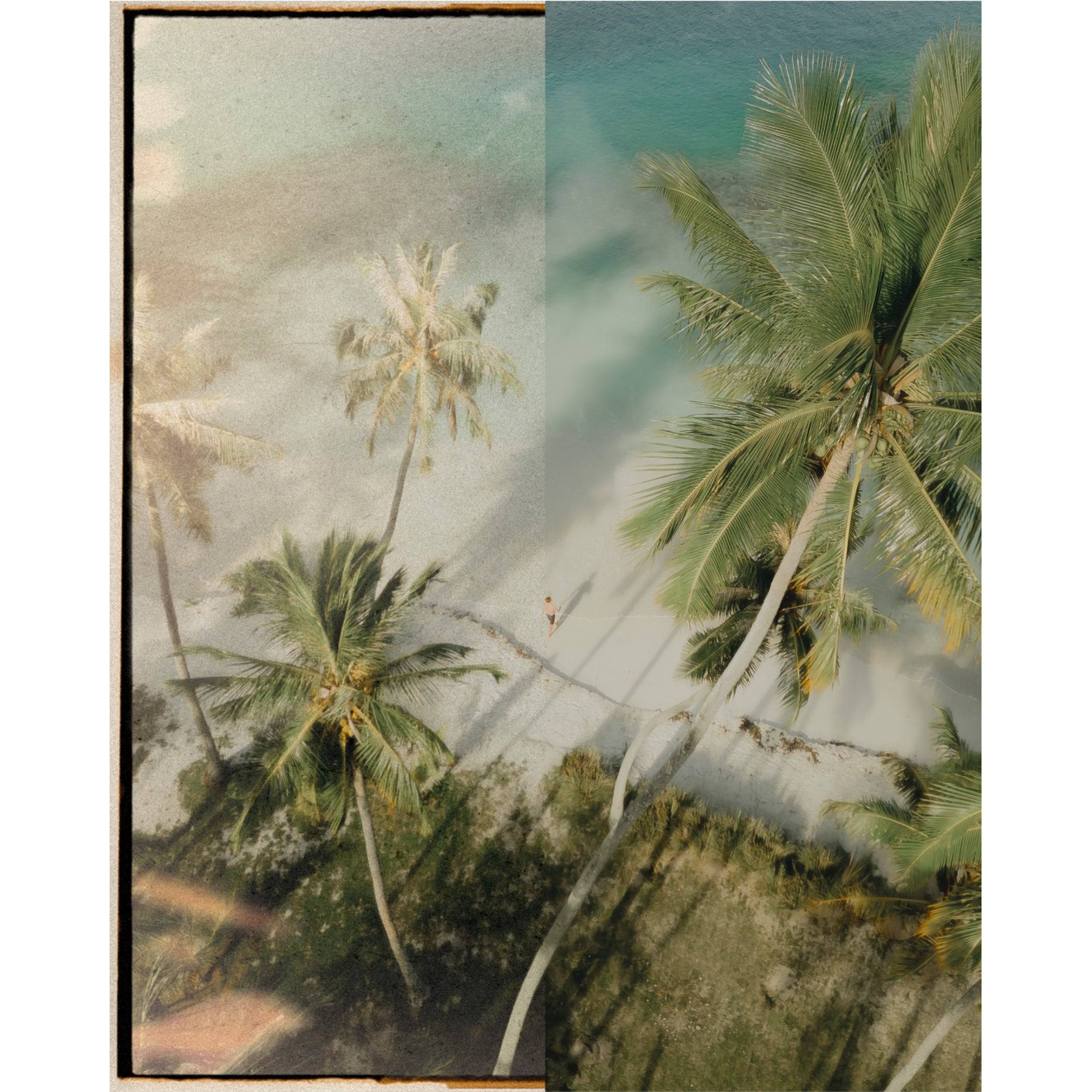 Real Film Photo Pack – envijon